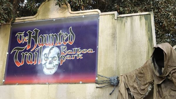 How To Have A Happy Halloween in San Diego