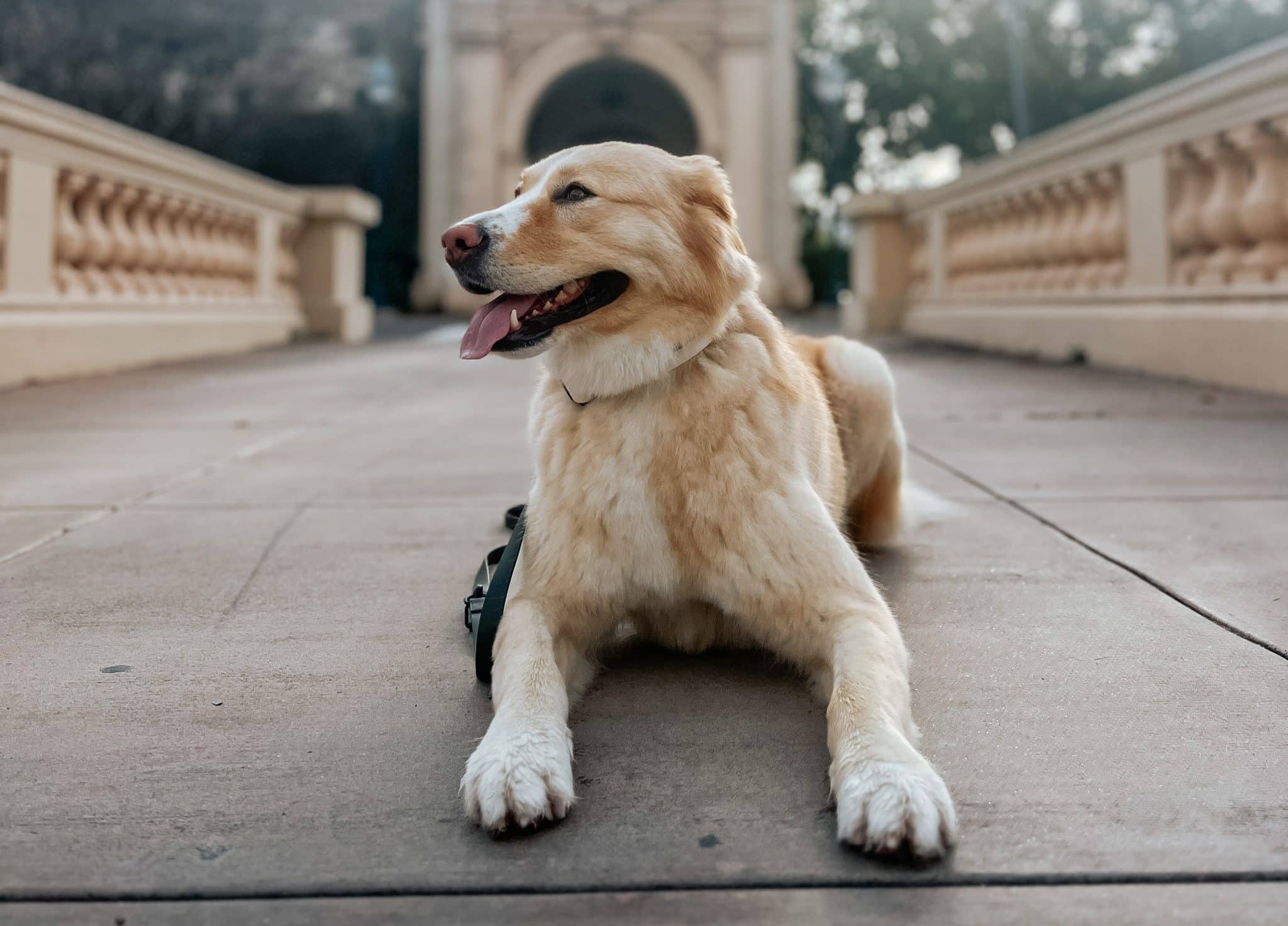 LIVING IN THE CITY: The Millennial Point Of View