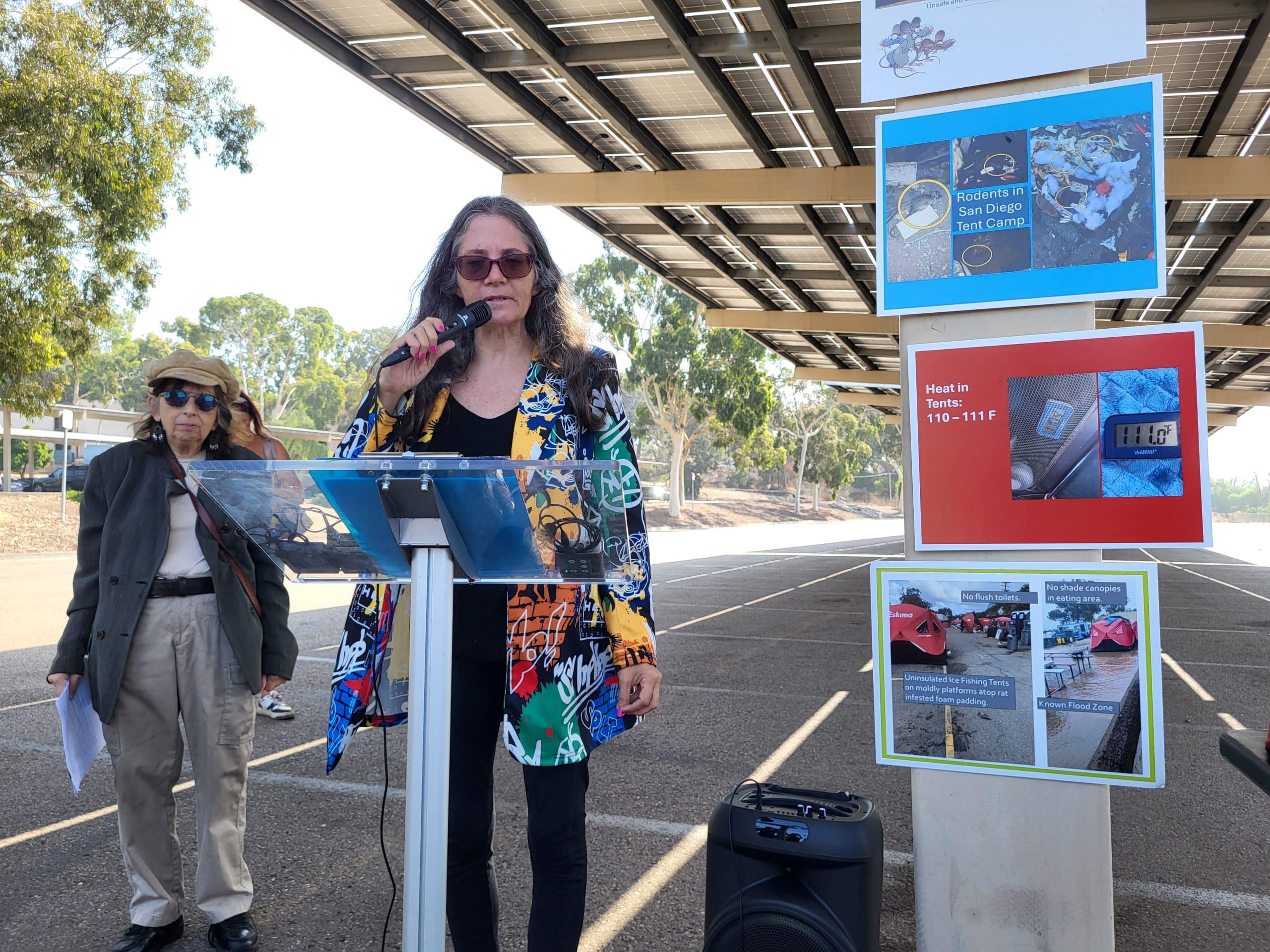 District 3 City Council Race: Coleen Cusack Is A Persistent ...